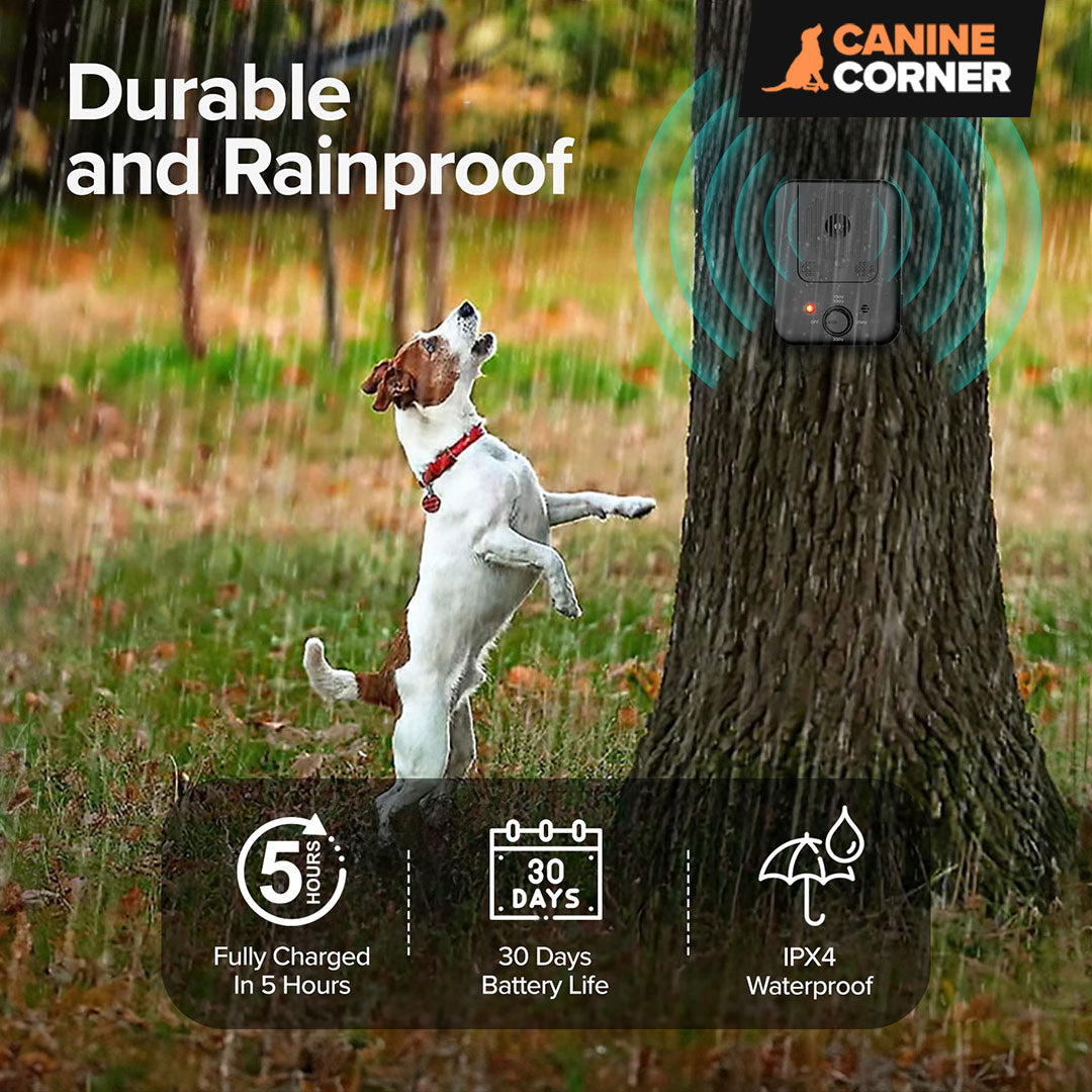 Barkbuddy™ – CANINE CORNER