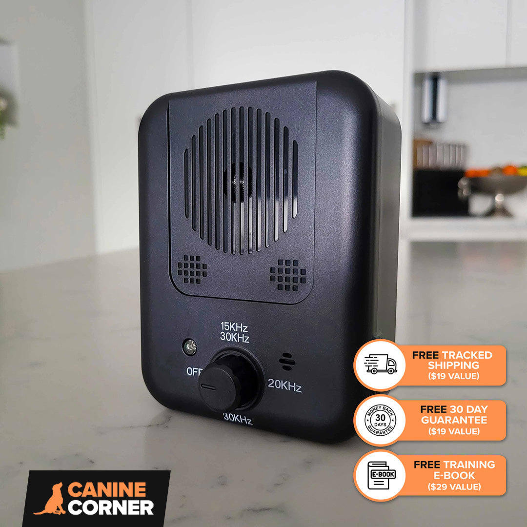 Barkbuddy™ – CANINE CORNER