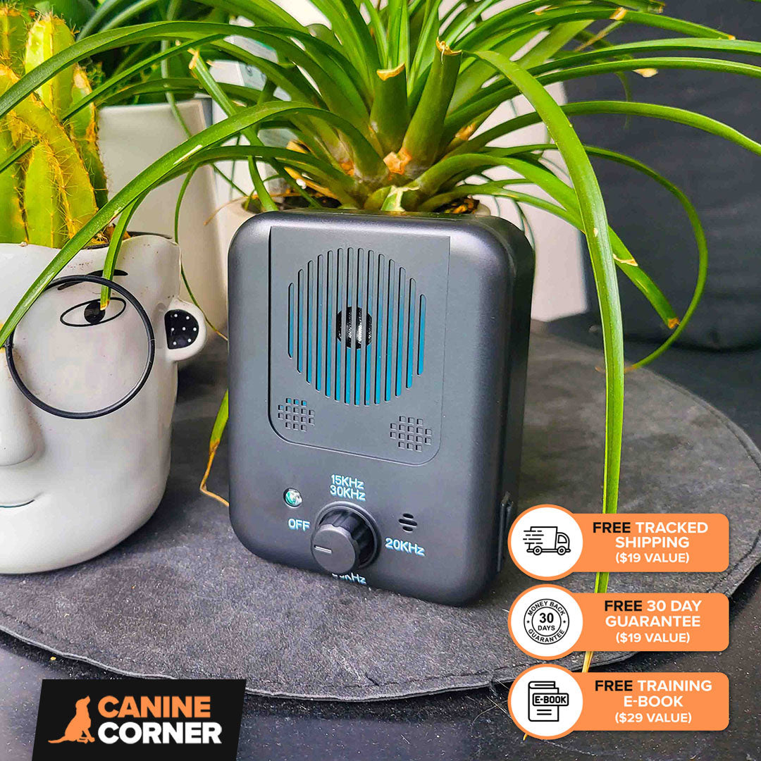 Barkbuddy™ – CANINE CORNER