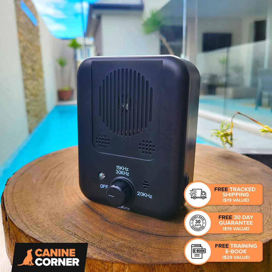 Barkbuddy™ – CANINE CORNER