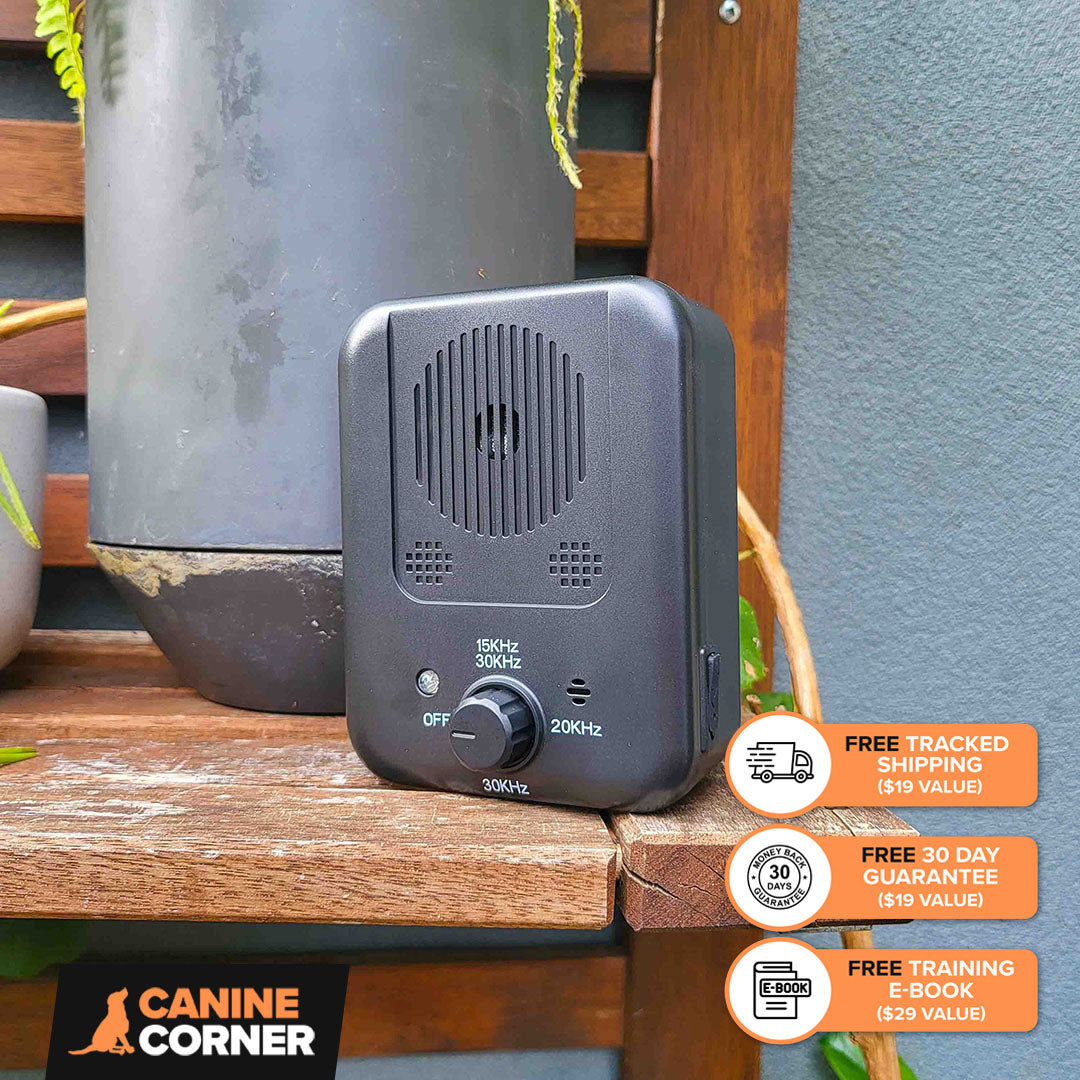 Barkbuddy™ – CANINE CORNER