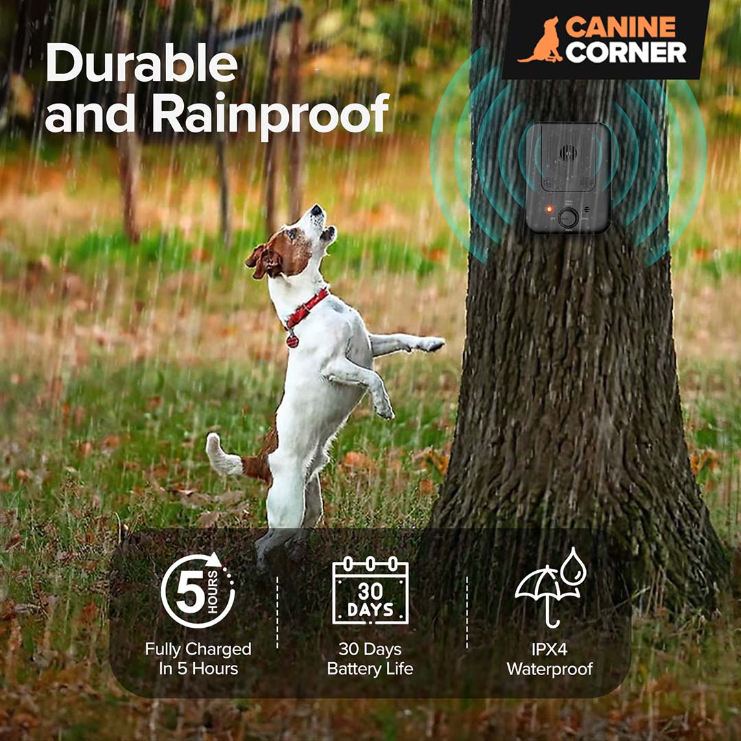Anti Bark Device – Barkbuddy™ | Proven Humane Bark Control – CANINE CORNER
