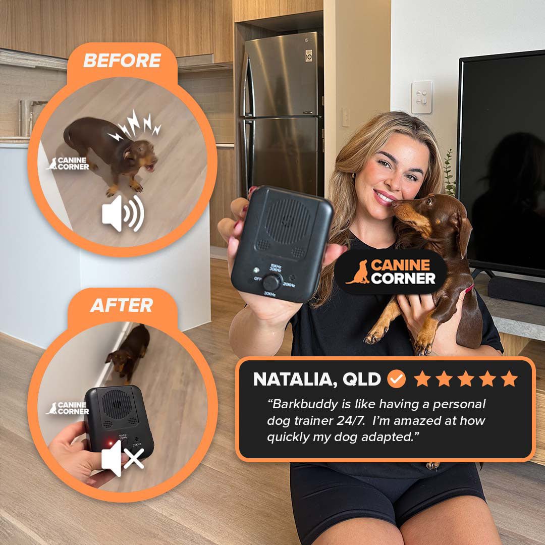 Anti Bark Device – Barkbuddy™ | Proven Humane Bark Control – CANINE CORNER