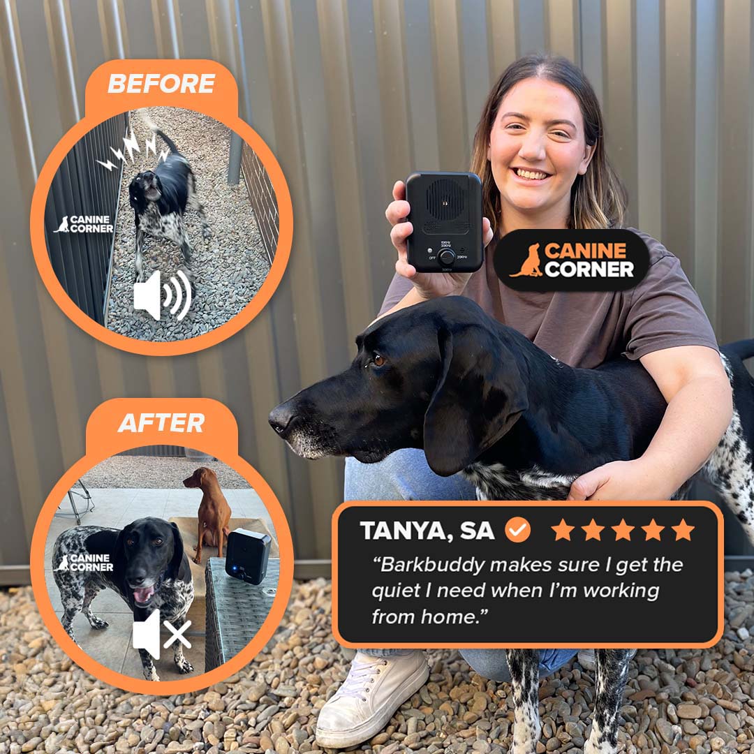 Anti Bark Device – Barkbuddy™ | Proven Humane Bark Control – CANINE CORNER